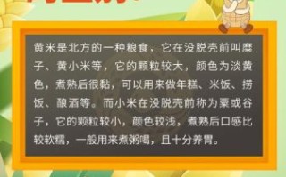 黄米和小米的区别_黄米怎么做好吃