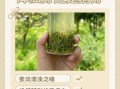 毛尖茶泡出来浑浊好还是清好_茶汤浑浊原因