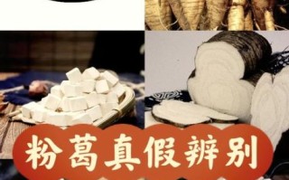 葛根粉哪里的最好最正宗_如何辨别真假葛根粉