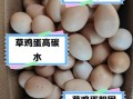 草鸡蛋和洋鸡蛋的区别_哪个营养价值更高