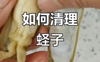 蛏子怎么清洗内脏_蛏子去内脏图解步骤