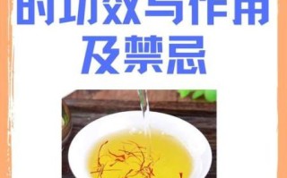 藏红花泡水喝的正确方法_藏红花一次泡几根