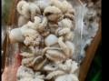 麻辣小八爪鱼怎么做_麻辣小八爪鱼焯水几分钟
