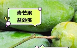 青芒果能吃吗_青芒果怎么吃才安全 青芒果能吃吗_青芒果怎么吃才安全