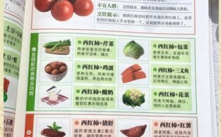 哪些食物不能一起吃_食物搭配营养大全