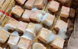 霉豆腐发霉颜色异常_还能吃吗