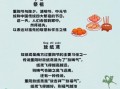 重阳节的意义是什么_重阳节有哪些传统寓意