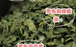罗布麻茶什么人不能喝_罗布麻茶禁忌人群