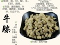 牛膝的功效与作用_牛膝的禁忌人群