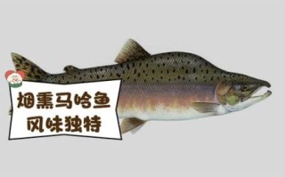 马哈鱼怎么做好吃_马哈鱼营养价值高吗