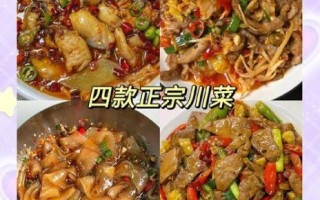四川烧菜有哪些经典做法_四川烧菜怎么做好吃