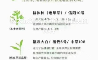 毛尖茶哪里产的最好_如何辨别正宗产地