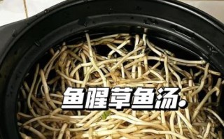 鱼汤怎么烧不腥_鱼汤去腥技巧