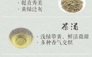 蒙顶黄芽属于什么茶_蒙顶黄芽怎么泡才正确