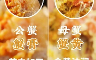 蟹膏和蟹黄的区别_蟹黄和蟹膏哪个更好吃
