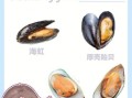 青口贝是海虹吗_区别与选购技巧
