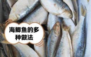 海鲫鱼刺多吗_适合宝宝吃吗