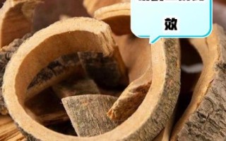 秦皮的功效与作用有哪些_秦皮能治疗哪些疾病