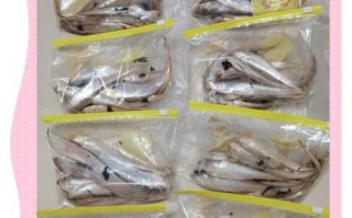 鲚鱼是什么鱼_鲚鱼怎么吃最好吃