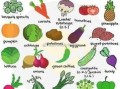 vegetables怎么记_vegetables记忆技巧
