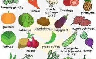 vegetables怎么记_vegetables记忆技巧