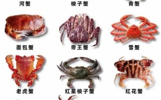 世界上最好吃的螃蟹排名_哪种螃蟹最鲜美