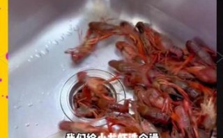 麻辣小龙虾家常做法窍门_怎么清洗小龙虾更干净