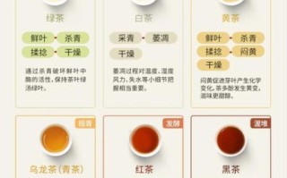 绿茶和红茶的功效区别_哪种茶更适合你