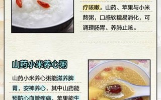 山药粥的功效与禁忌_适合什么人吃