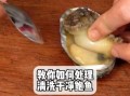 鲍鱼怎么清理才干净_鲍鱼清洗内脏步骤