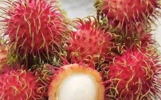 红毛丹一天吃几个最好_红毛丹吃多了会怎样