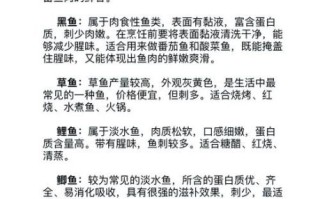 鲶鱼的营养价值_鲶鱼的功效与作用
