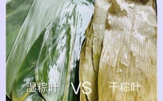 粽子叶图片怎么选_新鲜粽叶和干粽叶区别