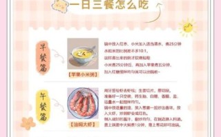中餐吃什么最营养最健康_一周搭配指南