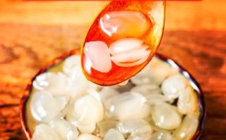 雪莲子怎么吃_雪莲子一次吃多少 雪莲子怎么吃_雪莲子一次吃多少