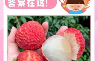 荔枝一天吃多少合适_吃多了会上火吗