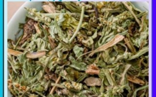 车前草图片功效与作用_车前草能降高血压吗