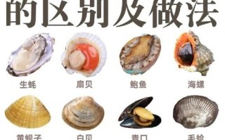 贝类海鲜怎么清洗_贝类海鲜怎么做好吃
