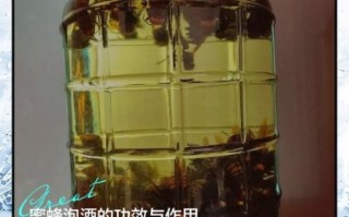 蜂蜜酒中毒死亡原因_如何避免蜂蜜酒中毒