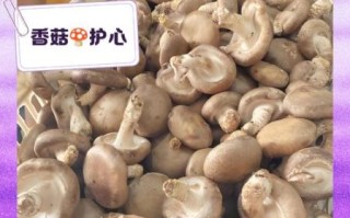 鲜香菇必须要焯水吗_焯水对口感和营养的影响