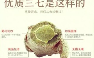 三七图片大全怎么找_三七图片欣赏技巧