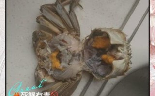 河螃蟹死多久不能吃_如何判断河蟹是否变质