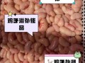 鸡子是什么东西_鸡子是不是鸡蛋