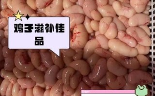 鸡子是什么东西_鸡子是不是鸡蛋