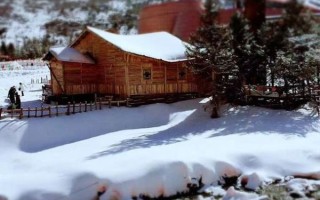 鹧鸪山自然公园门票多少钱_鹧鸪山自然公园怎么去