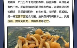 海蘑菇怎么吃_海蘑菇的做法大全