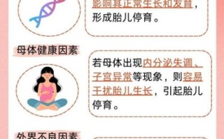 胎停育是什么原因引起的_胎停育最常见的六大原因