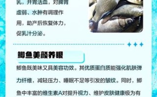 女人每天吃鲫鱼的好处_鲫鱼对女人有哪些功效