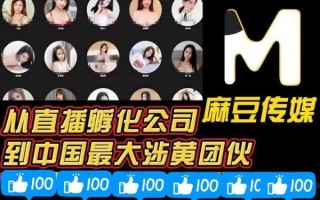 国产麻豆剧果冻传媒北上广观看_如何在线看