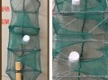 黄鳝笼怎么选_黄鳝笼放什么诱饵最有效